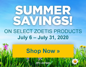 Vet Supplies | Pet Medications | Covetrus North America